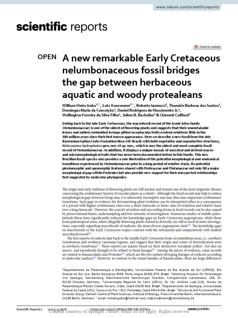 Early Cretaceous Nelumbonaceae Fossil Discovery | PDF | Leaf | Biology