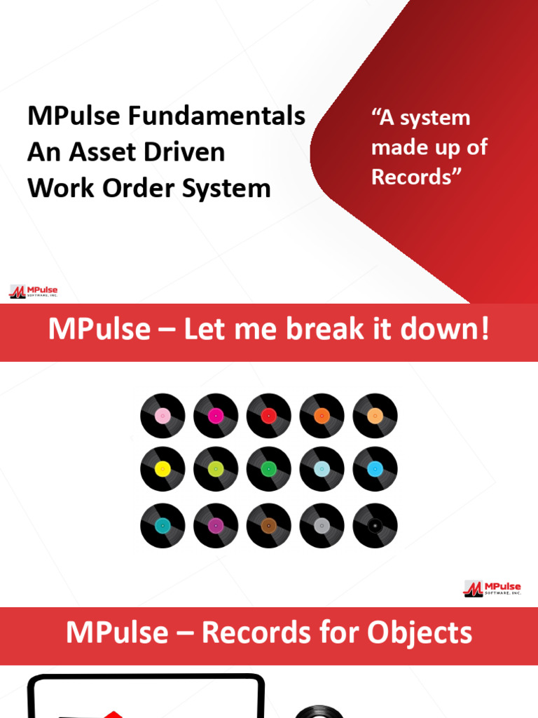 2 - MPulse Fundamentals - Records | PDF