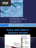 Bunsen Burner Labeling Guide | PDF