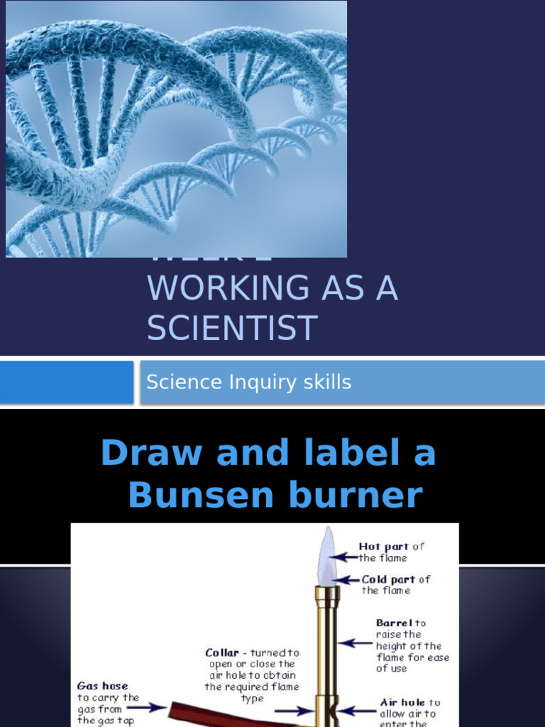 Bunsen Burner Diagram and Usage Guide | PDF | Combustion | Energy ...