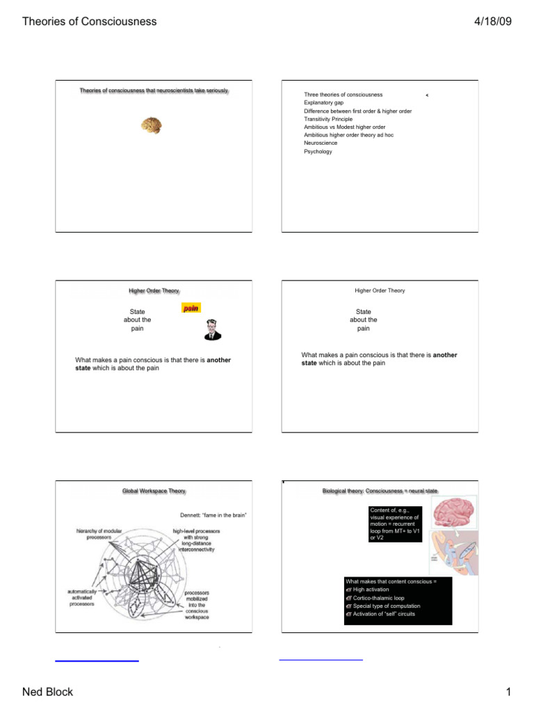 MIT24 08JS09 Lec17 | PDF | Consciousness | Experience