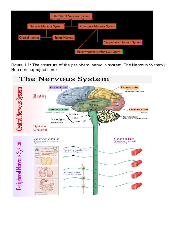 Unit 1 Diagrams | PDF
