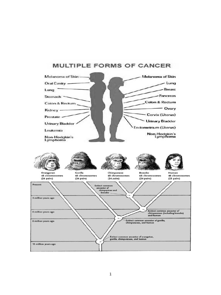 Complete Bio f4 | PDF | Cellular Respiration | Kidney