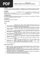 KKD Zi̇mmet Formu | PDF