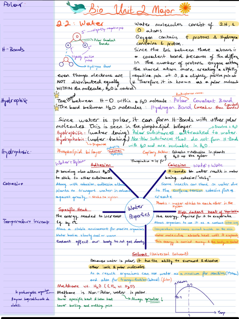 Bio Unit 2 Major Revision | PDF | Proteins | Macromolecules