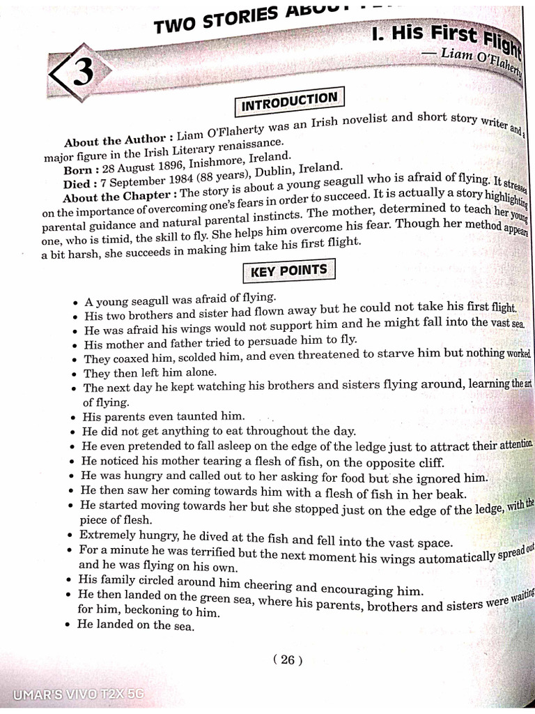 Two Stories About Flying | PDF