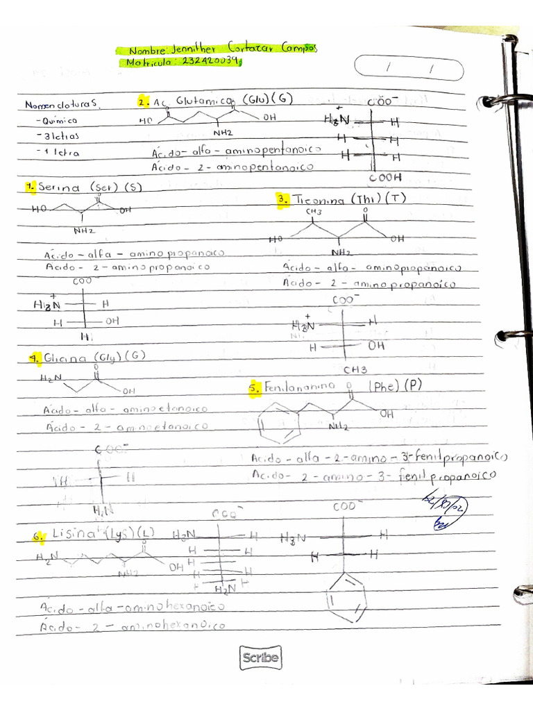 Nomenclatura y Estructura de Fischer | PDF