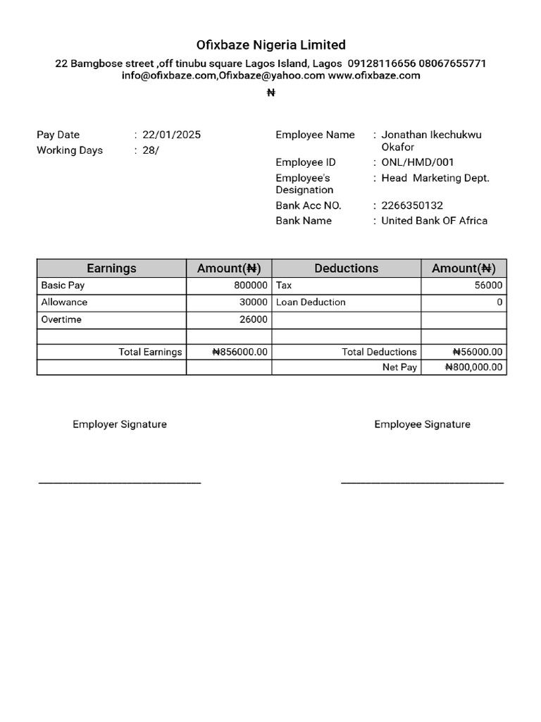Payslip January | PDF