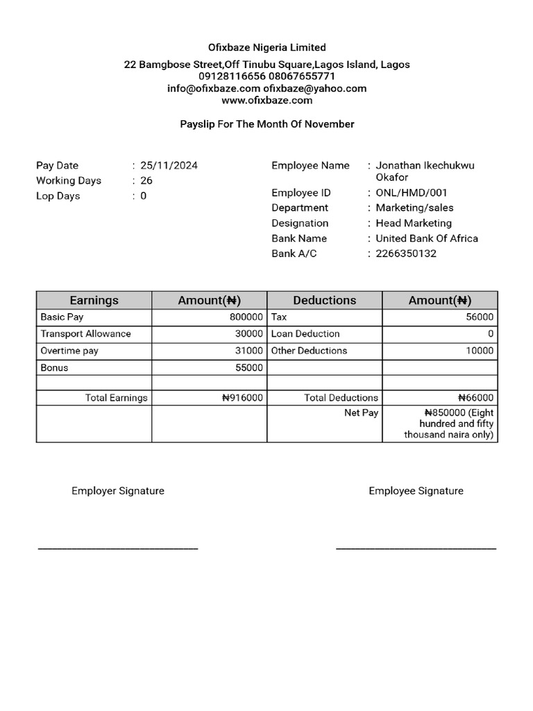 Payslip November | PDF