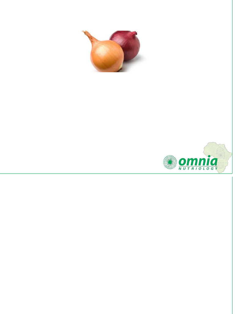 Onion Farming Guide for Zambia | PDF | Onion | Soil