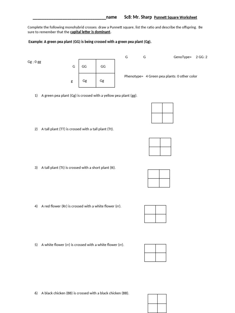 Pea Plant Punnett Squares Worksheet | PDF