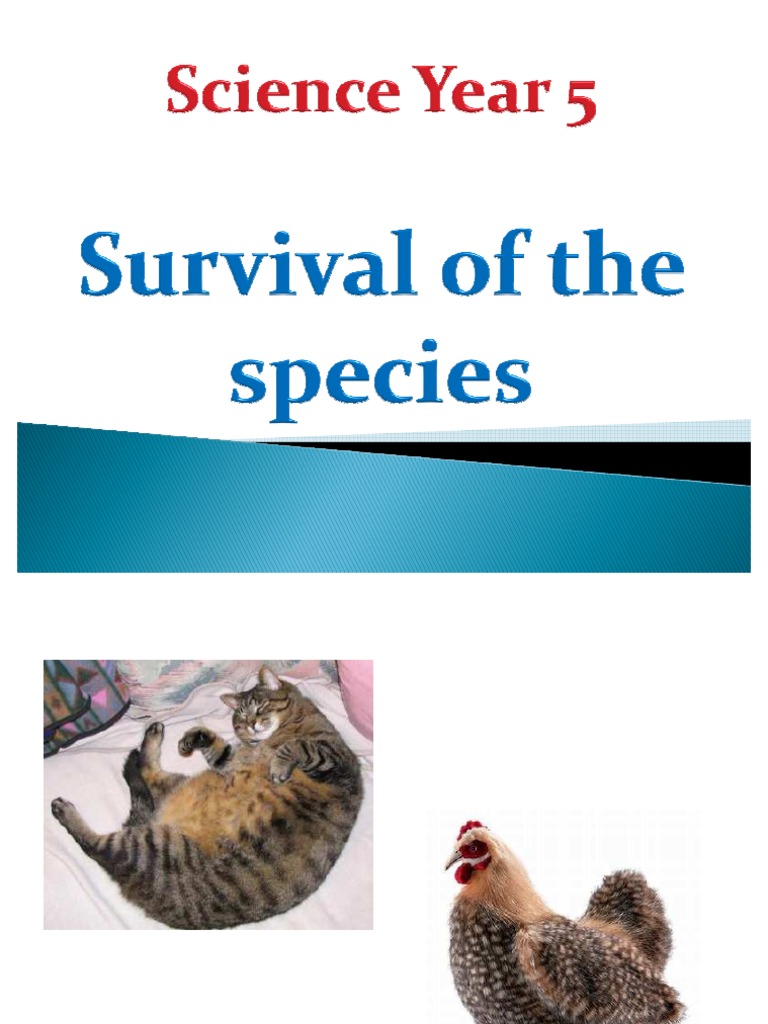 Science Year 5 Survival of Species | PDF