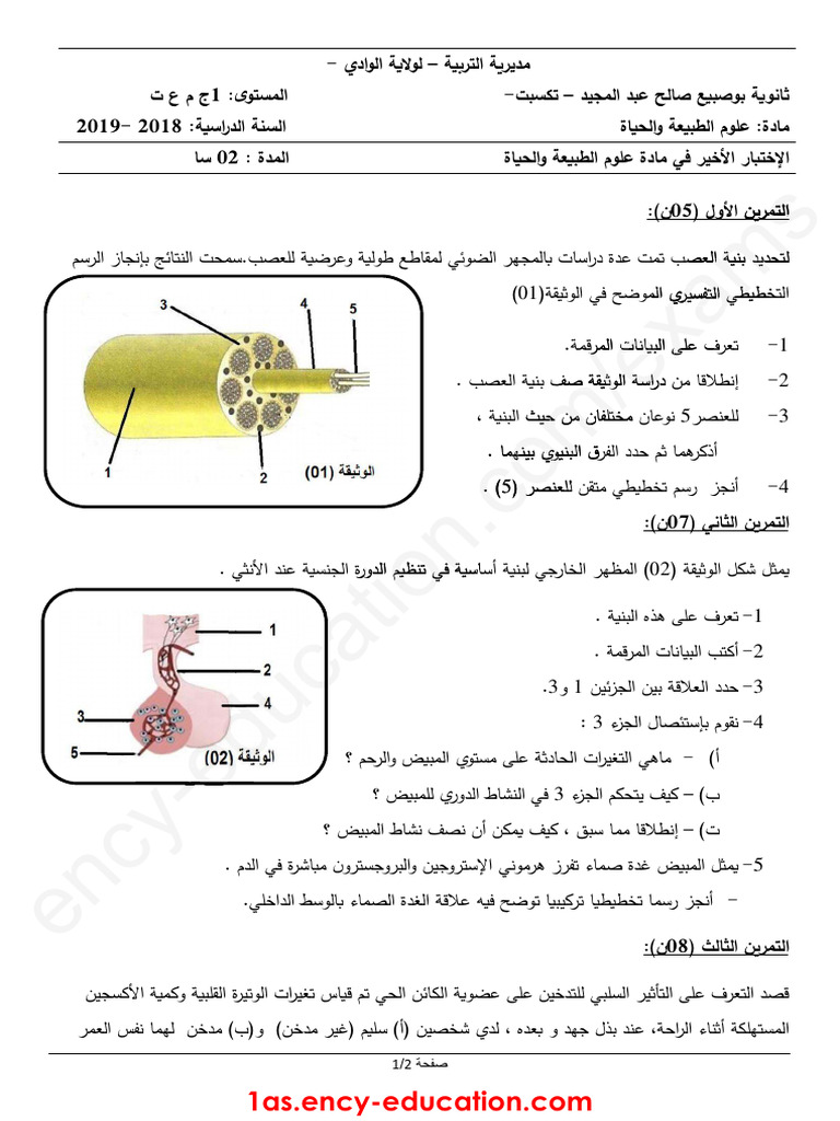 dzexams-1as-sciences-1763380 | PDF