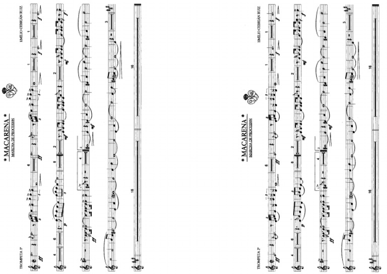 Macarena Cebrian | PDF