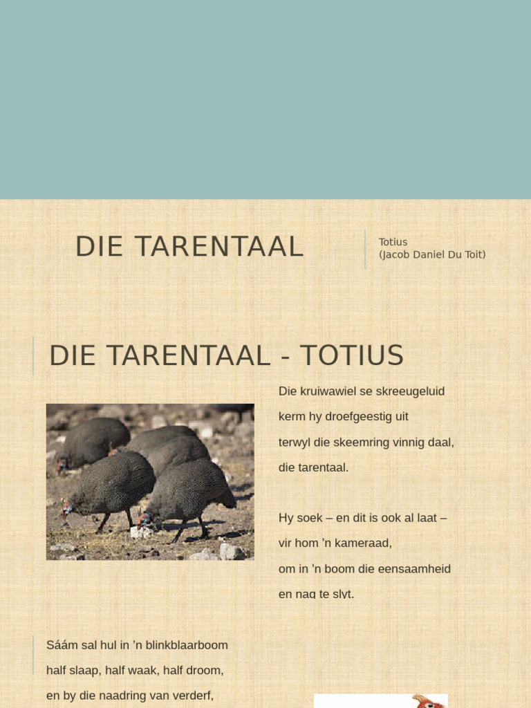 Die Tarentaal | PDF