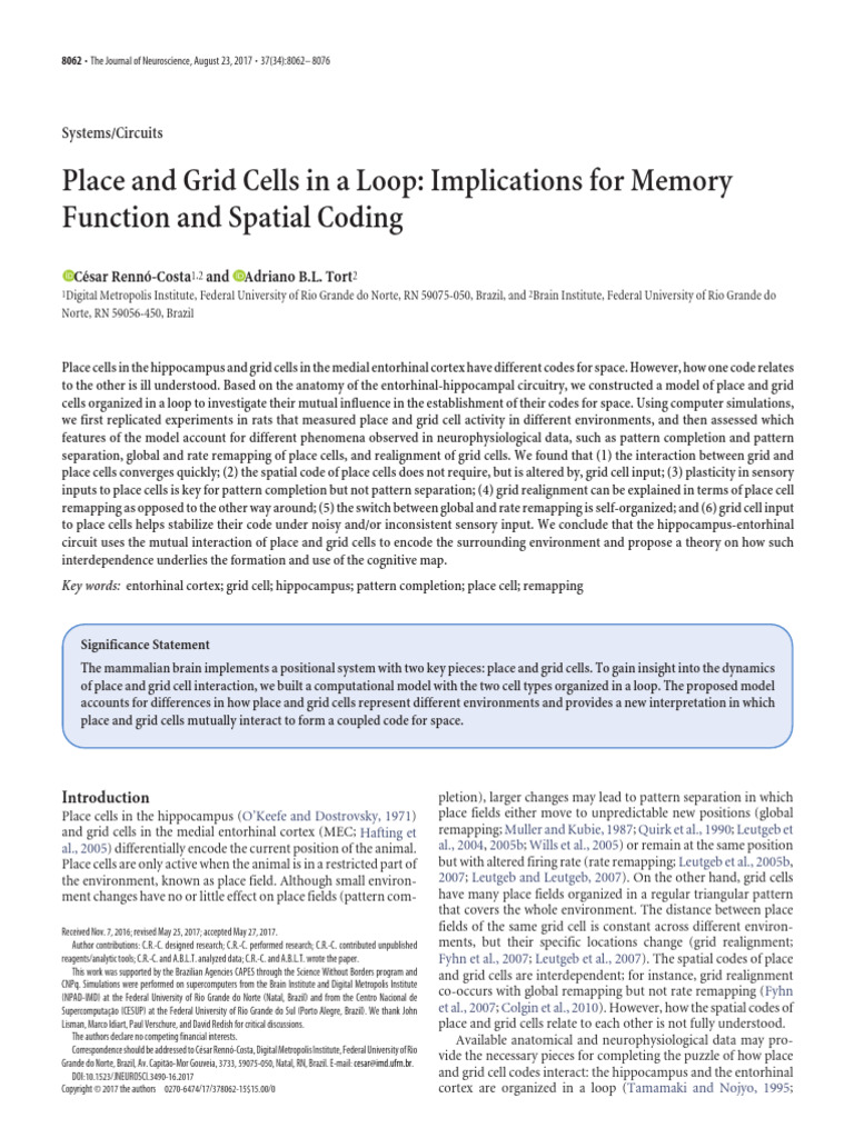 Place and Grid Cells in a Loop_Implications for Memory function and spatial coding | PDF | Brain ...