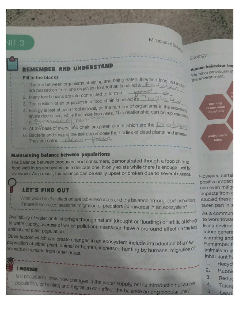 Book Work 8th Science | PDF