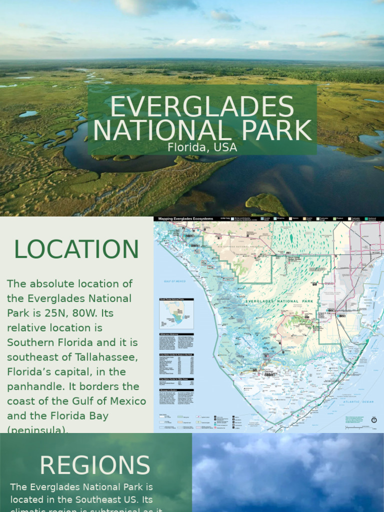 Everglades National Park (1) | PDF | Everglades | Wetland