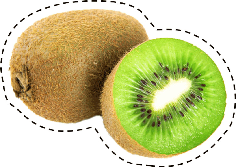 Kiwi Pdf