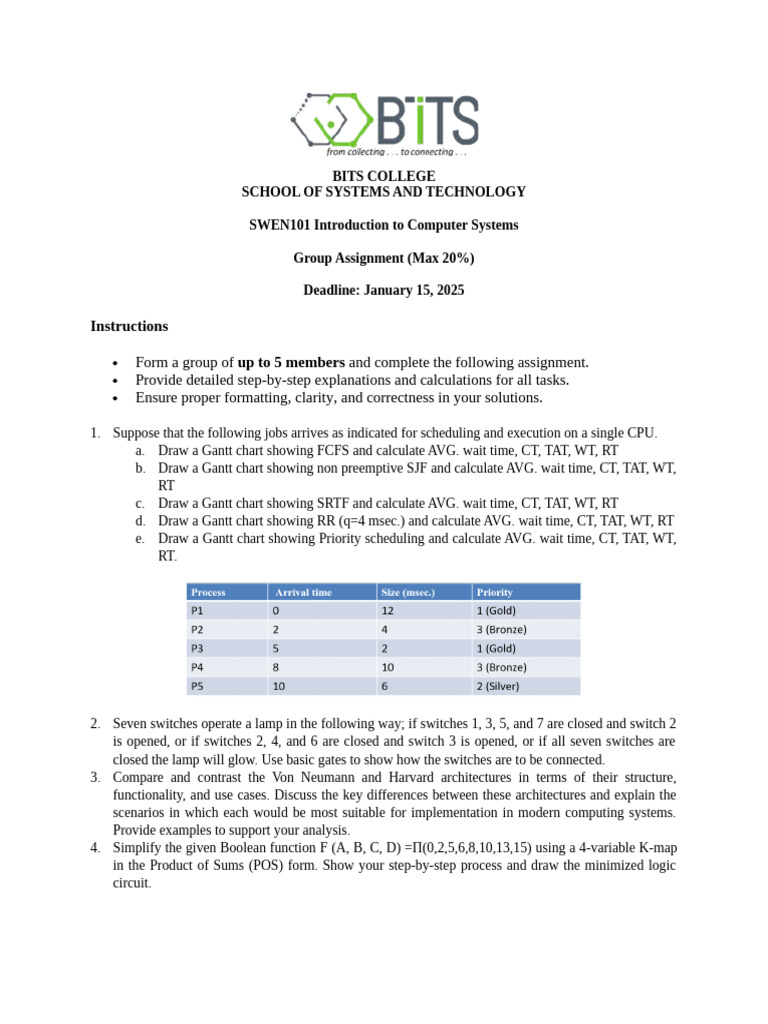 Computer Systems Assignment Guide | PDF