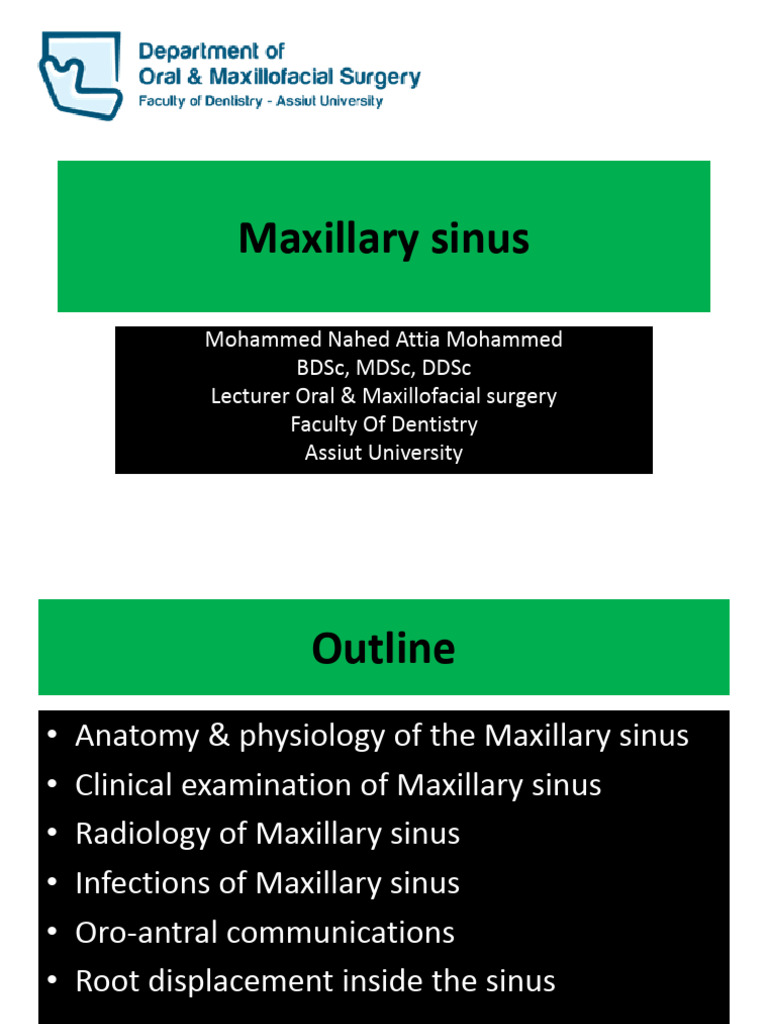 Maxillary Sinus Slides EX | PDF | Medical Specialties | Human Head And Neck