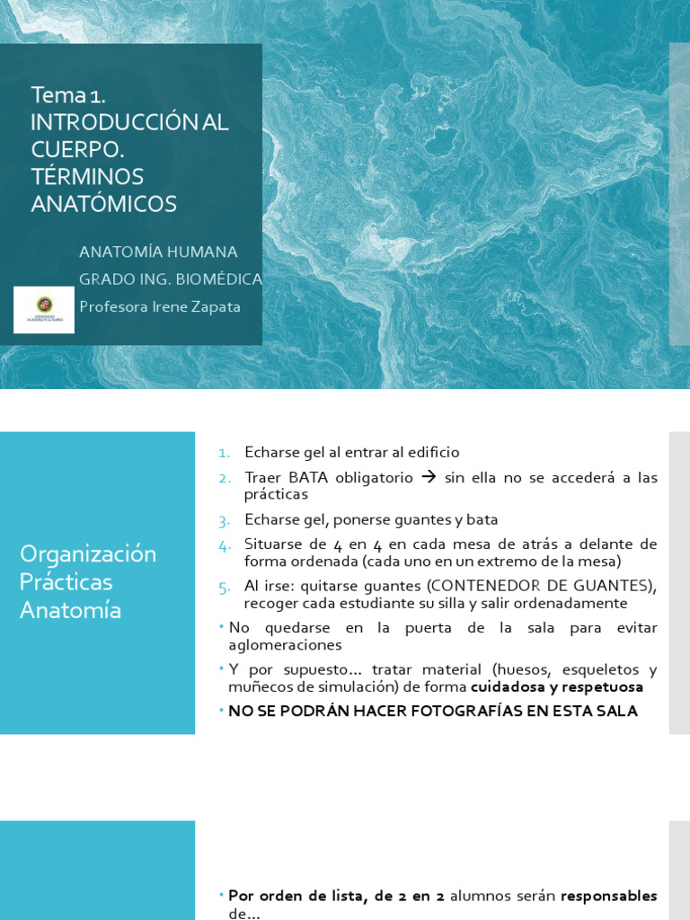 TEMA 1 - Términos Anatomicos | PDF | Términos anatómicos de ubicación ...