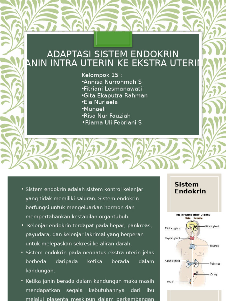 Kel 15 Patofisiologis | PDF