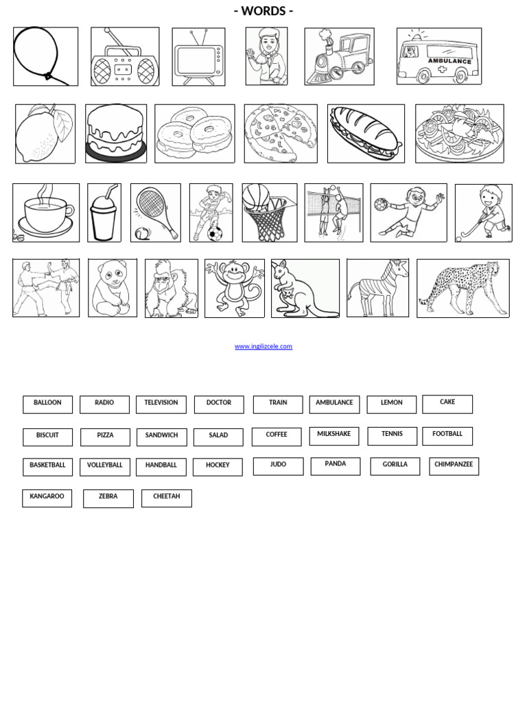 2 Sinif 1 Unite Words 2 | PDF
