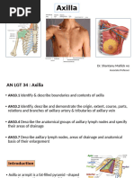 Anatomy and Contents of the Axilla | PDF | Arm | Anatomy