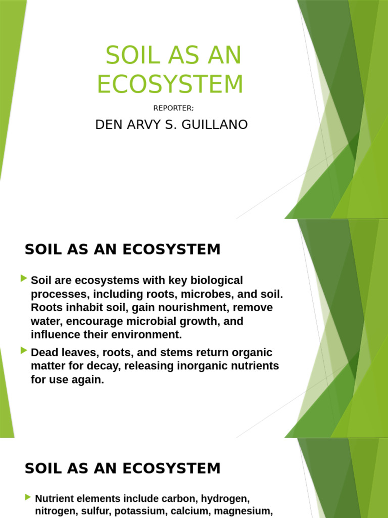 Soil As An Ecosystem | PDF