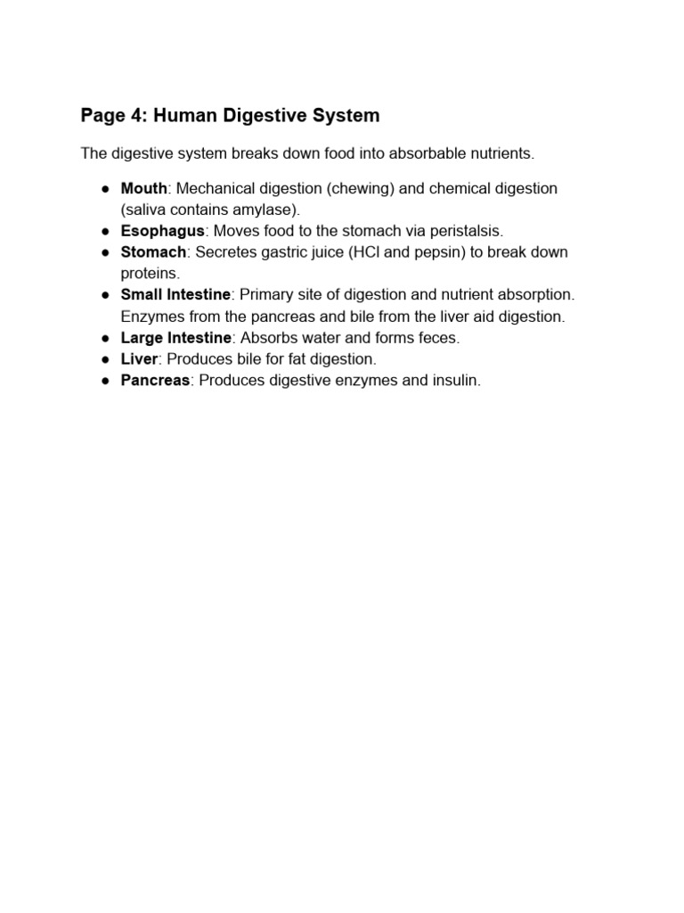 Human Digestive System | PDF