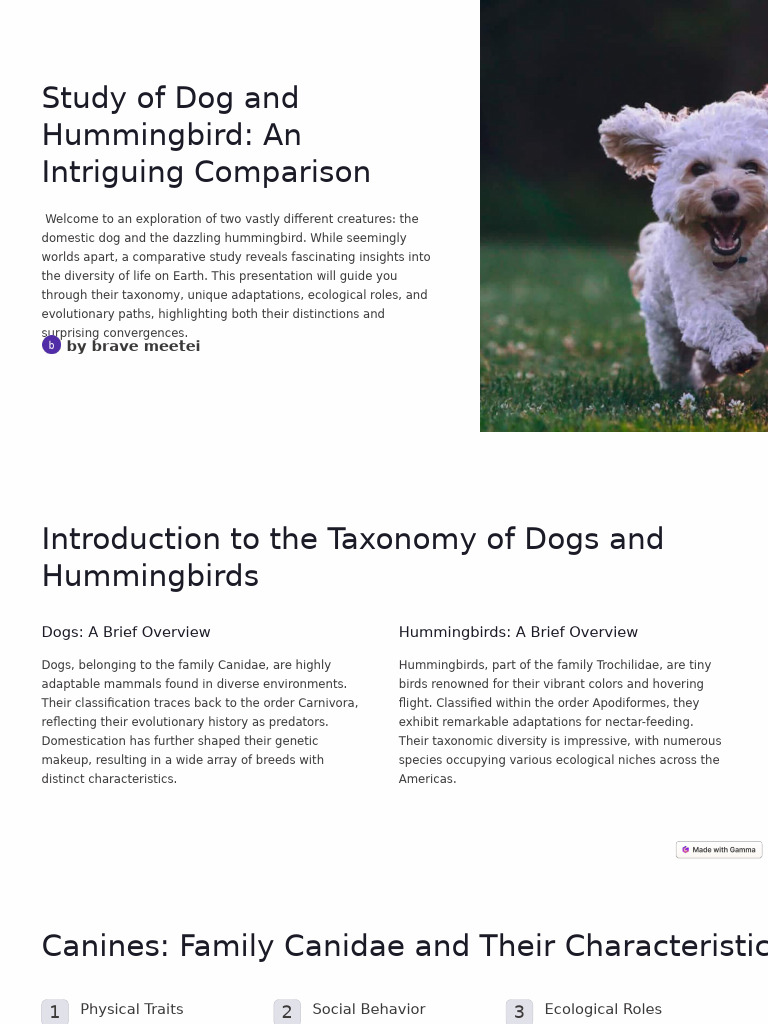 Study of Dog and Hummingbird An Intriguing Comparison | PDF | Canidae ...