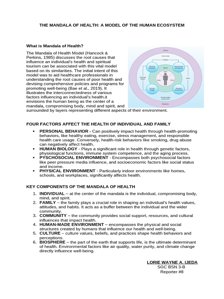 Health Ecosystem Insights | PDF | Well Being | Psychosocial