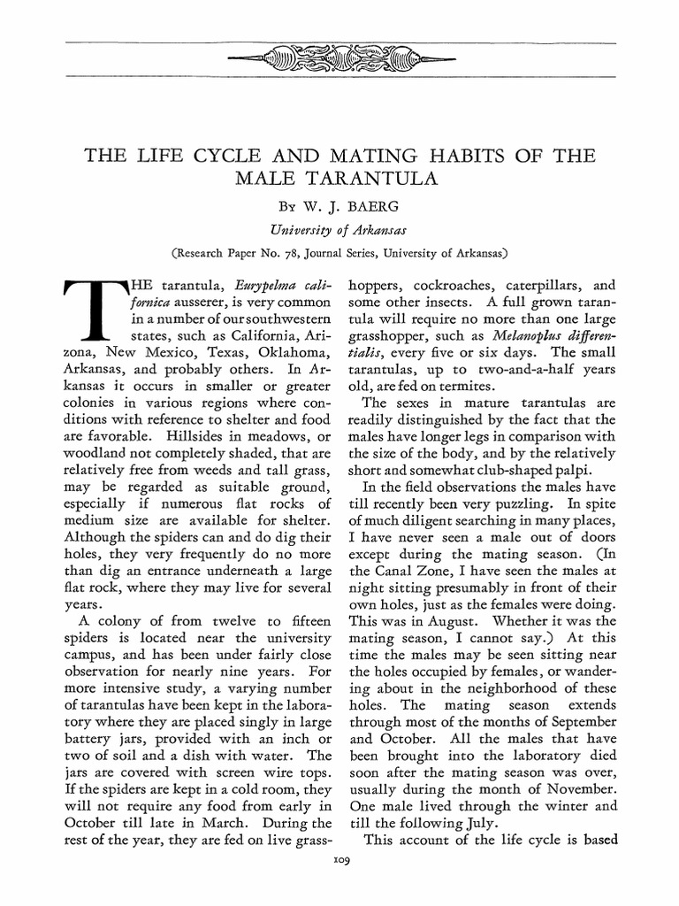 THE LIFE CYCLE AND MATING HABITS OF THE MALE TARANTULA | PDF | Zoology ...