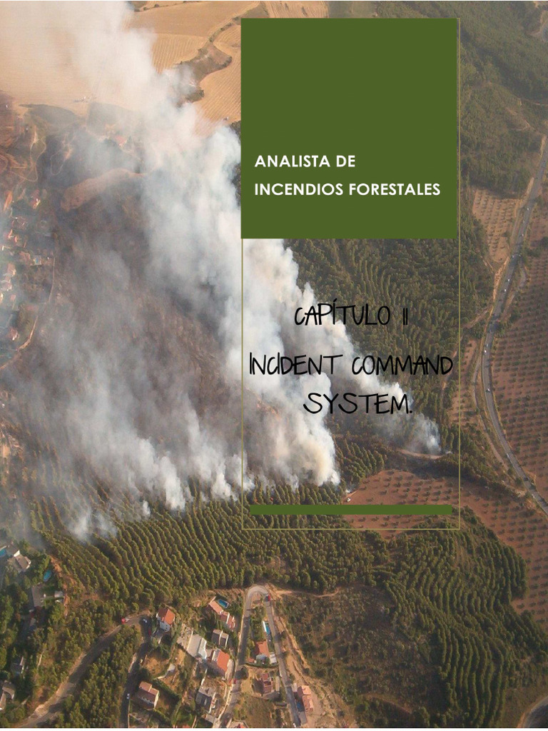 Capitulo - 11 - Incident Command System | PDF