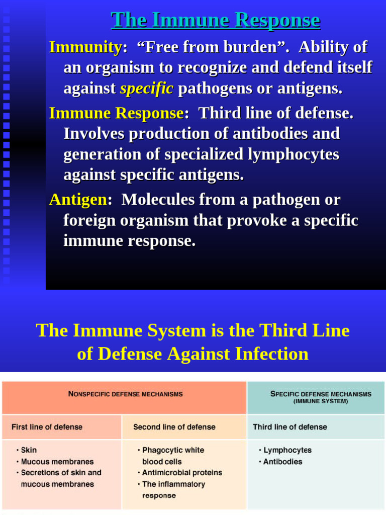 Lecture 1 Immunity Pdf Antibody Immune System