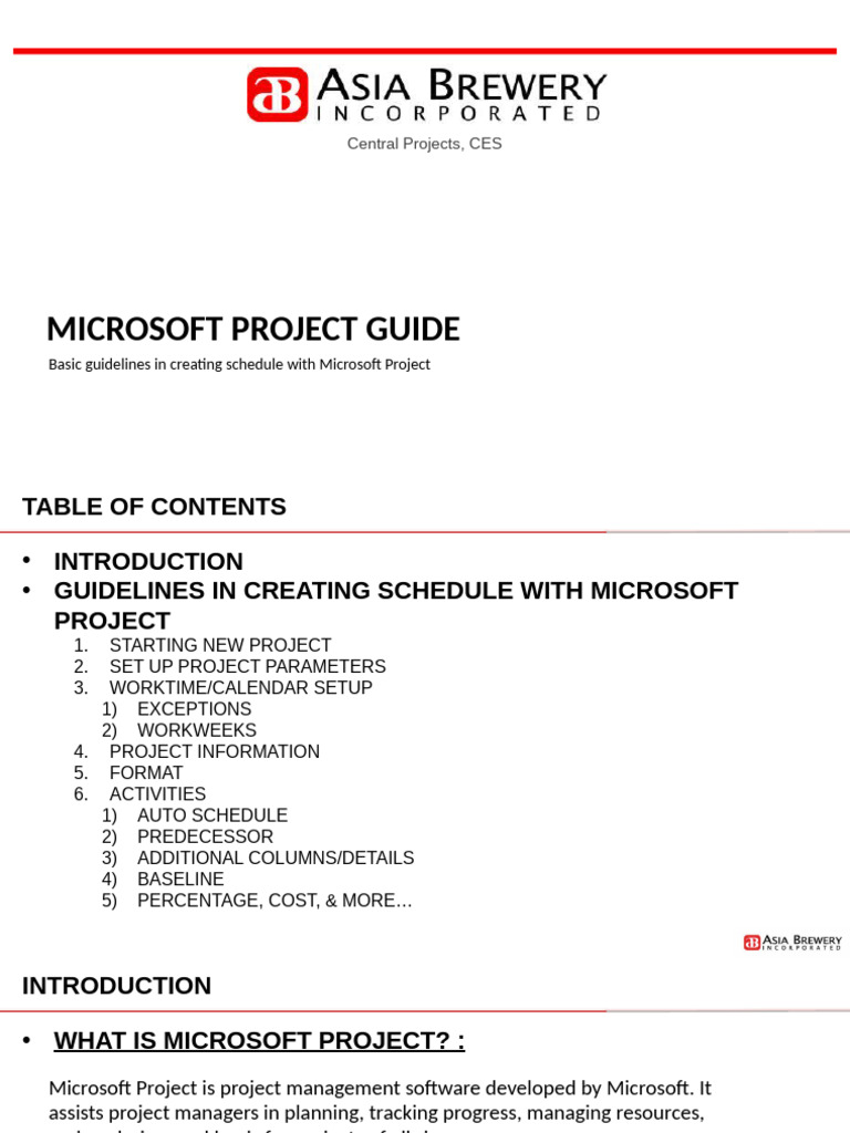 MS Project Guide REV.03 | PDF | Computer Programming | Software Engineering