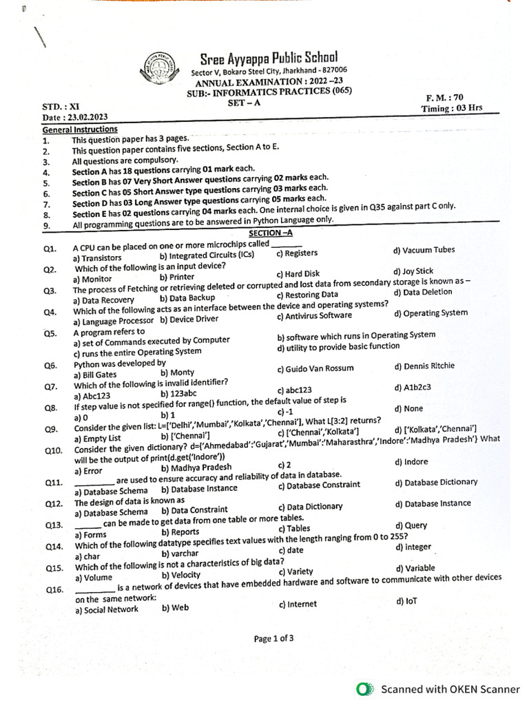 IP Class 11 (Set- A, B) | PDF