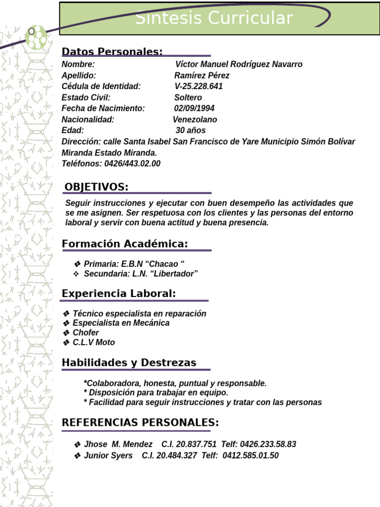 Curriculum Jonas | PDF