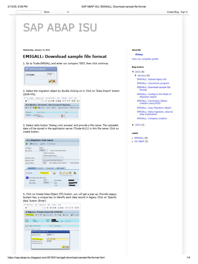 SAP ABAP ISU - EMIGALL - Download Sample File Format | PDF | Download | Computer Programming