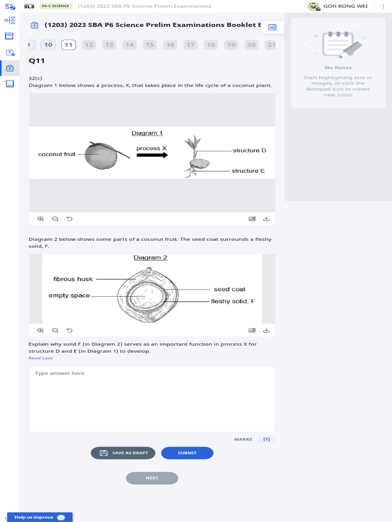 (1203) 2023 SBA P6 Science Prelim Examinations | PDF