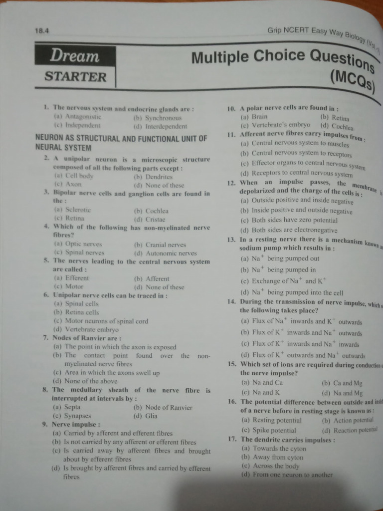 Neural System: Multiple Choice Questions | PDF | Axon | Nervous System