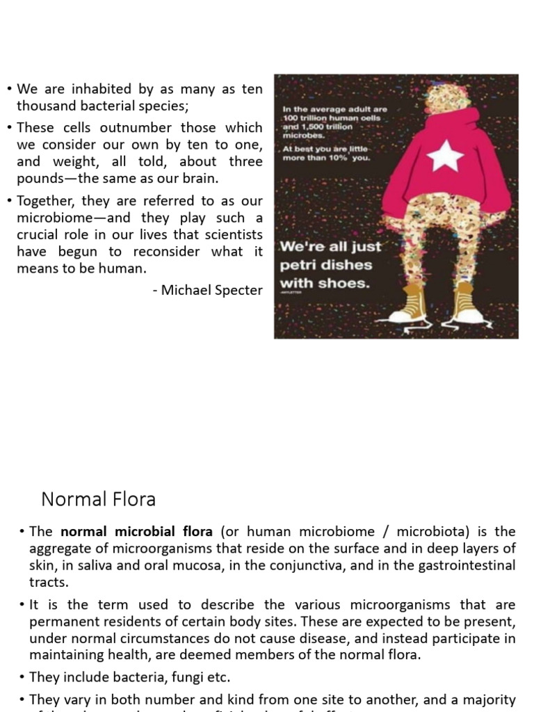 Host Microbe Interaction 2 - 2024-25 | PDF | Skin | Biology