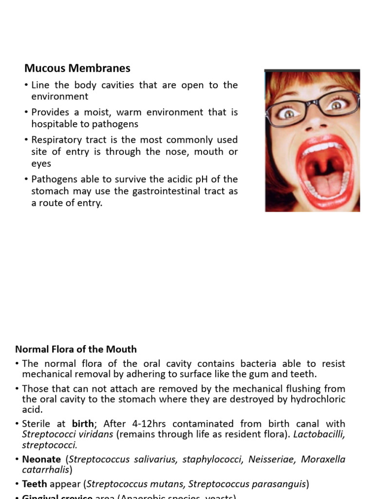 Host Microbe Interaction 3 - 2024-25 | PDF | Lactobacillus | Streptococcus