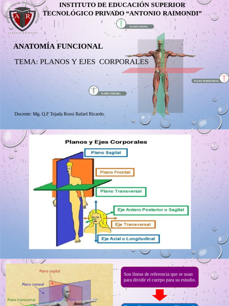 Planos y Ejes Corporales en Anatomía | PDF | Términos anatómicos de ...