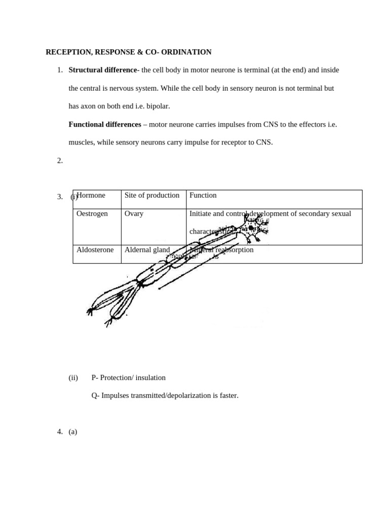 Form 4 - 3. Reception Response and Co Ordination A | PDF | Ear | Eye