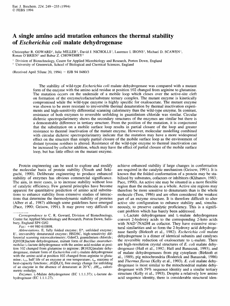 Escherichia: Coli Malate Dehydrogenase | PDF | Enzyme | Active Site