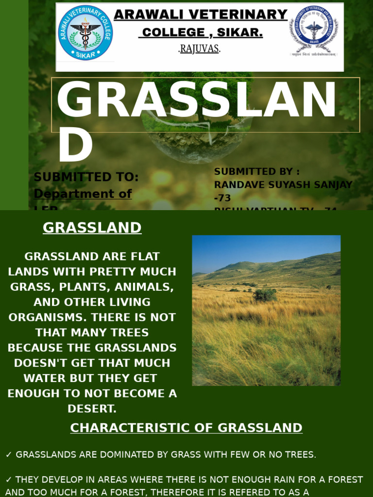Grasslands Pptx 1 Pdf Grassland Systems Ecology