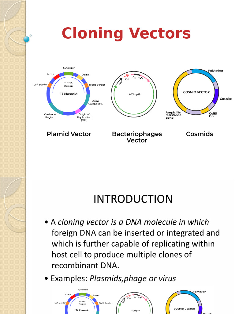 Cloning Vectors: Types and Characteristics | PDF | Molecular Cloning | Vector (Molecular Biology)