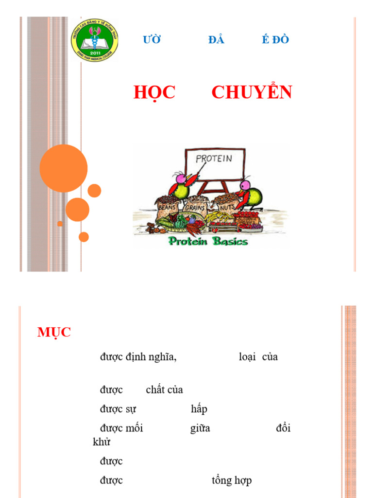 Hóa Học Và Chuyển Hóa Protid | PDF